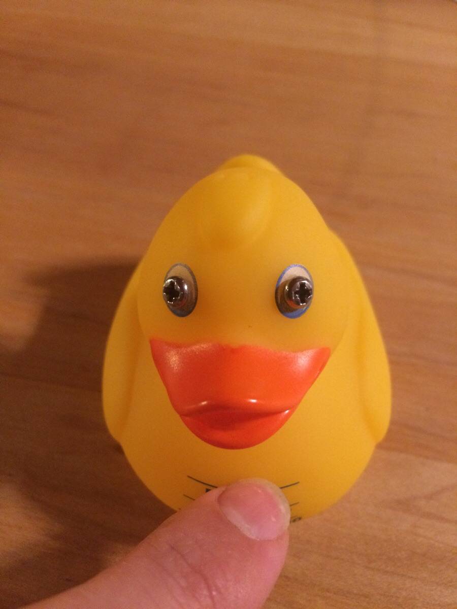 I screwed a duck! | Scrolller