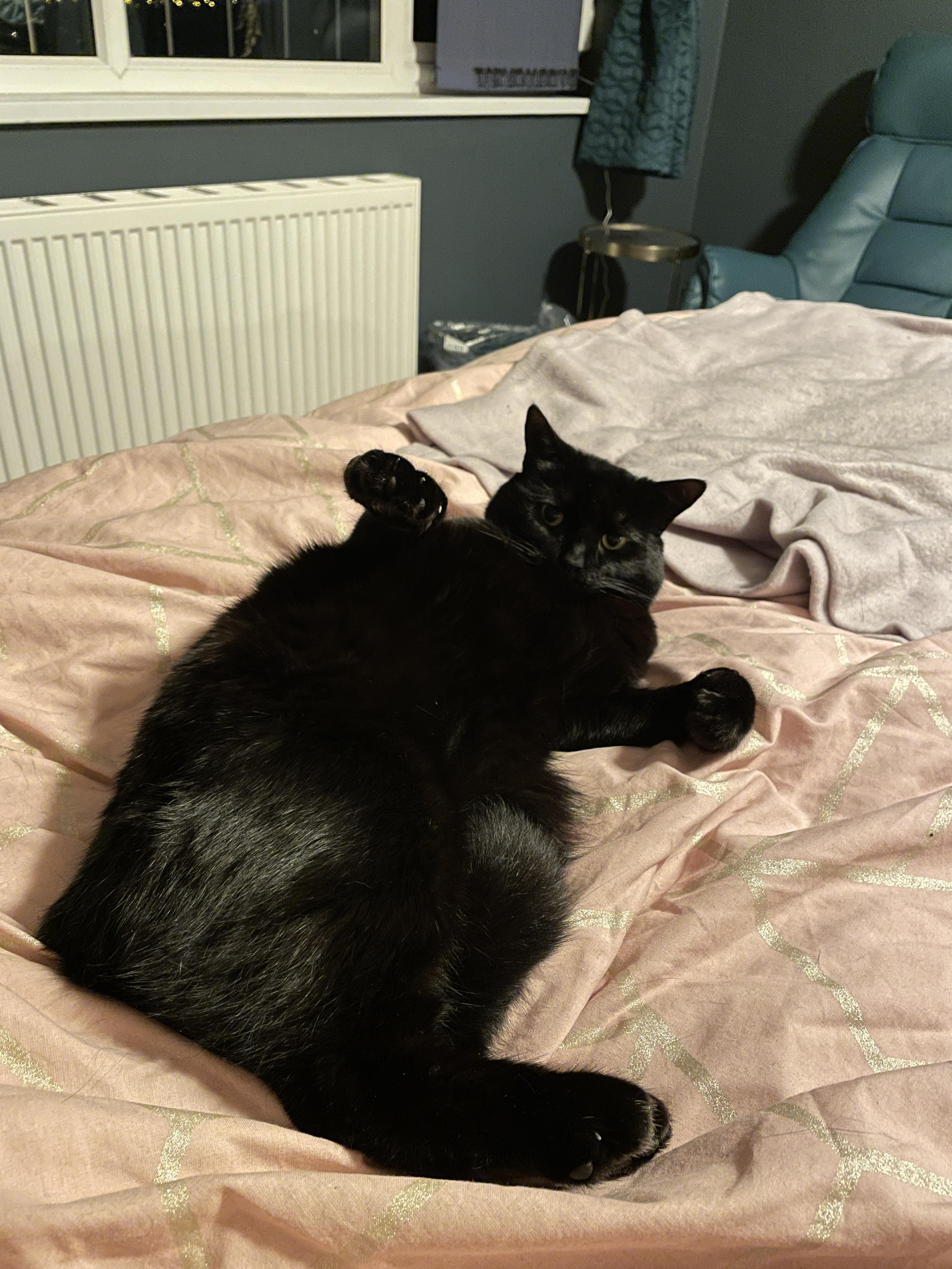 I shifted slightly | Scrolller