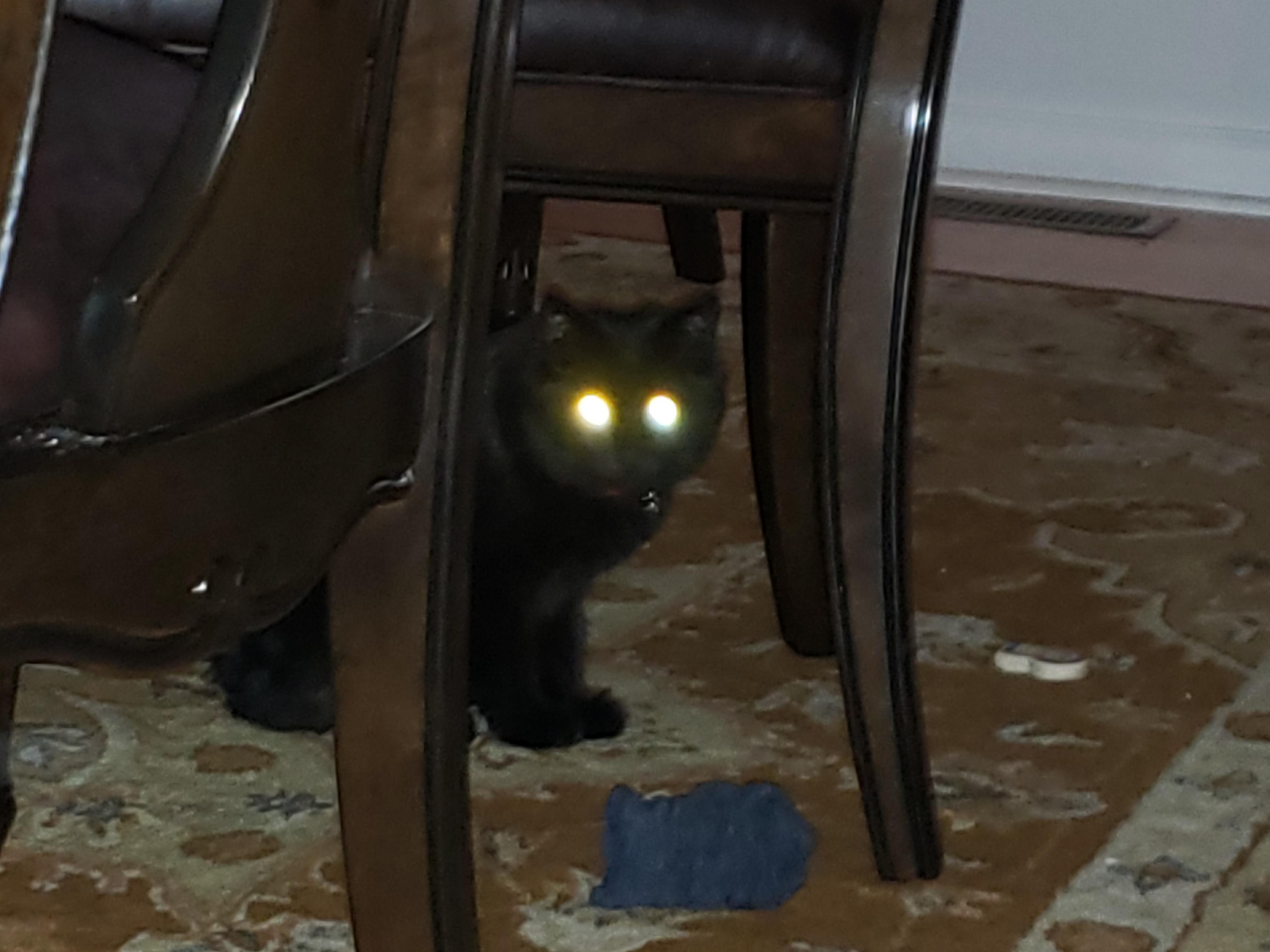 I think I engaged her full power mode | Scrolller