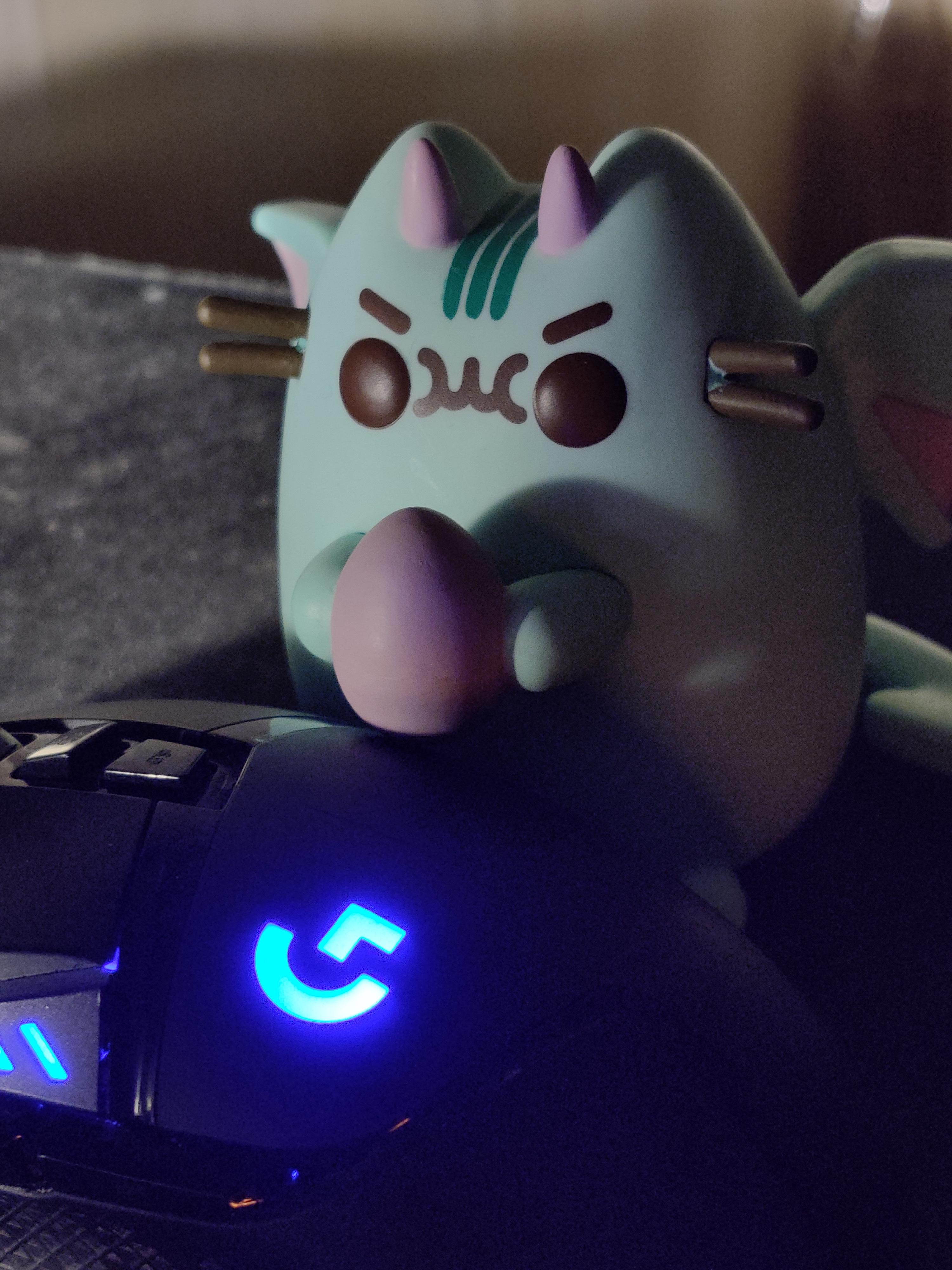 I think she's plotting something with the mouse.. | Scrolller