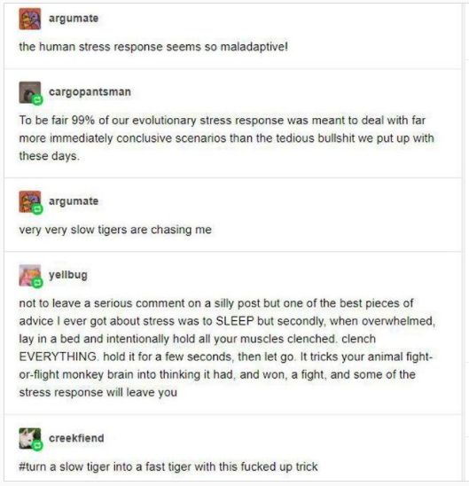 i tried it and it worked | Scrolller