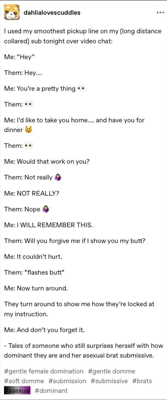 I used my smoothest pickup line on my (long distance collared) sub tonight over video chat ...