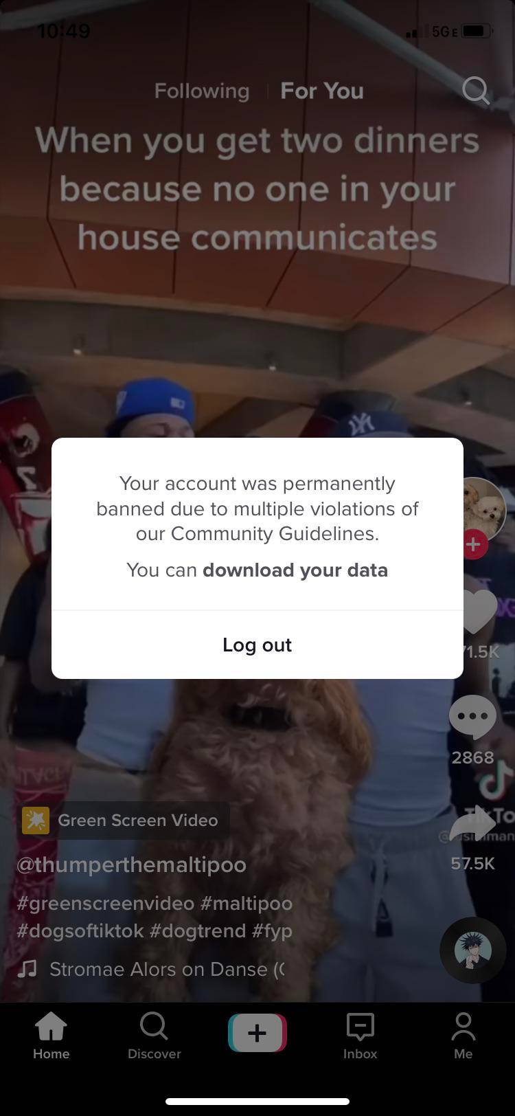 I was banned from tiktok so I took this as a sine to quit it and join Reddit | Scrolller