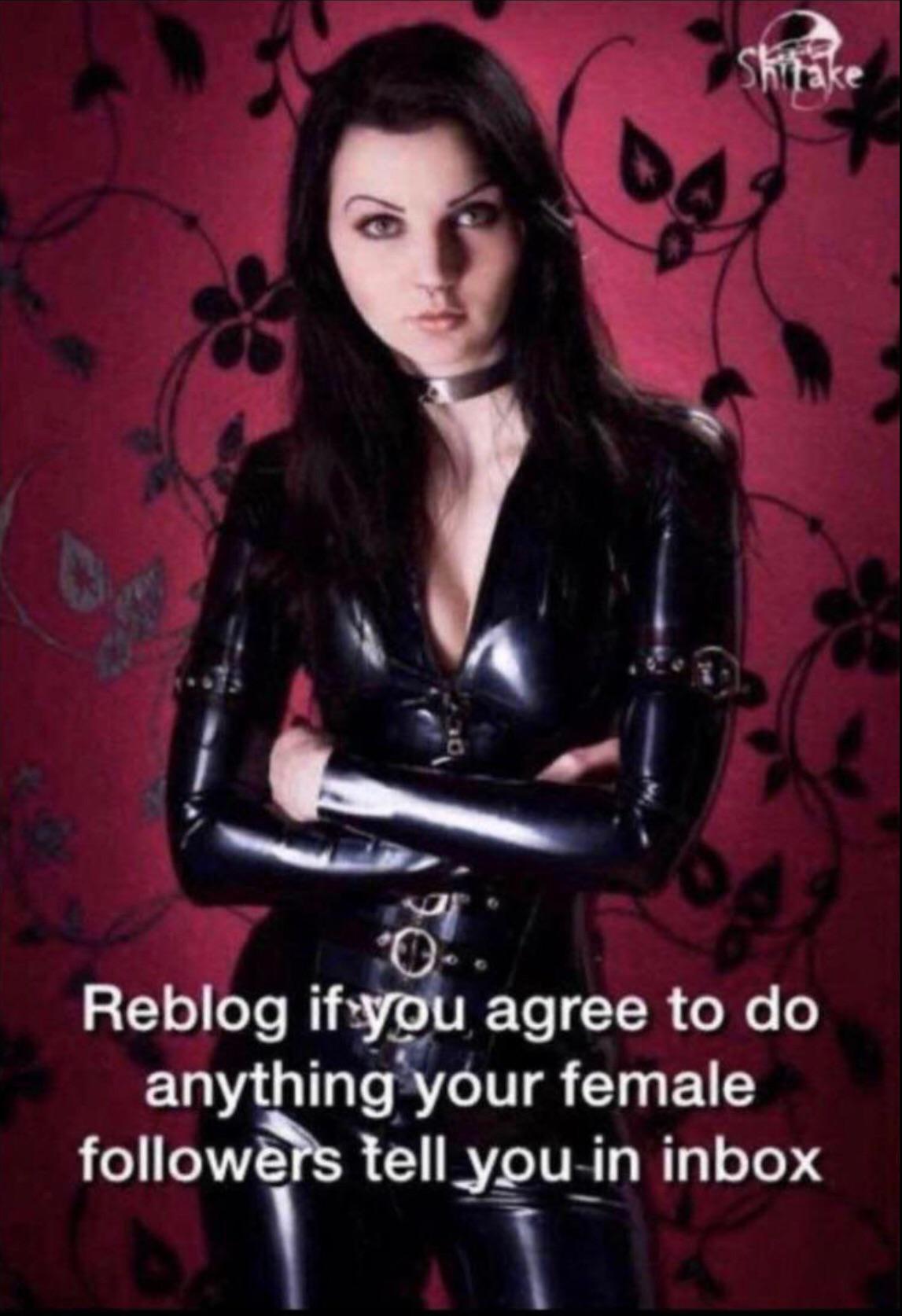 I Will do Everything You ask | Scrolller