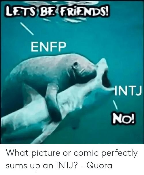 I wish I had an ENFP friend 😢 | Scrolller