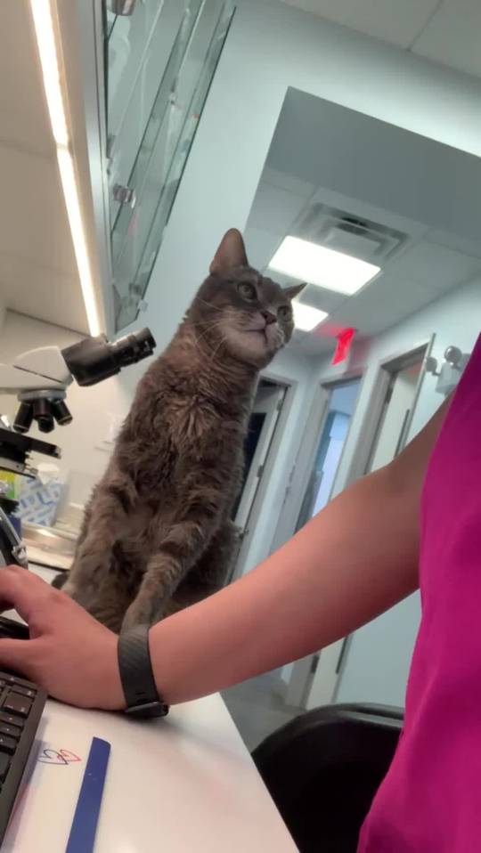 Gentle taps | Scrolller