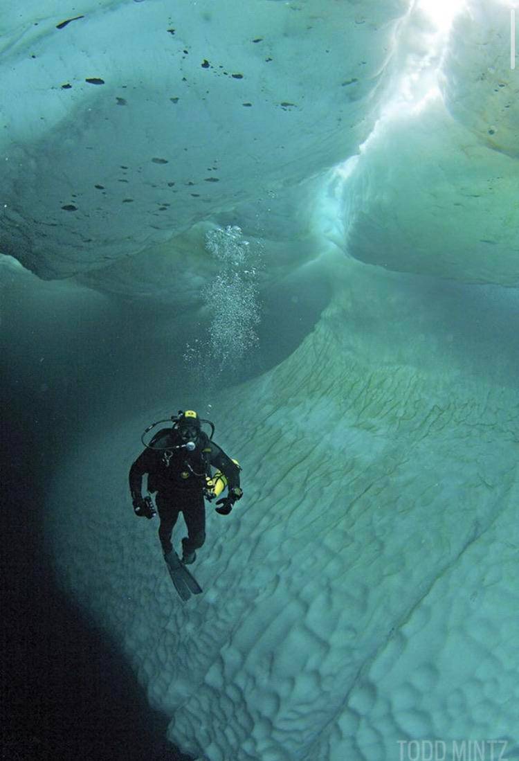 Ice diving off Canada | Scrolller