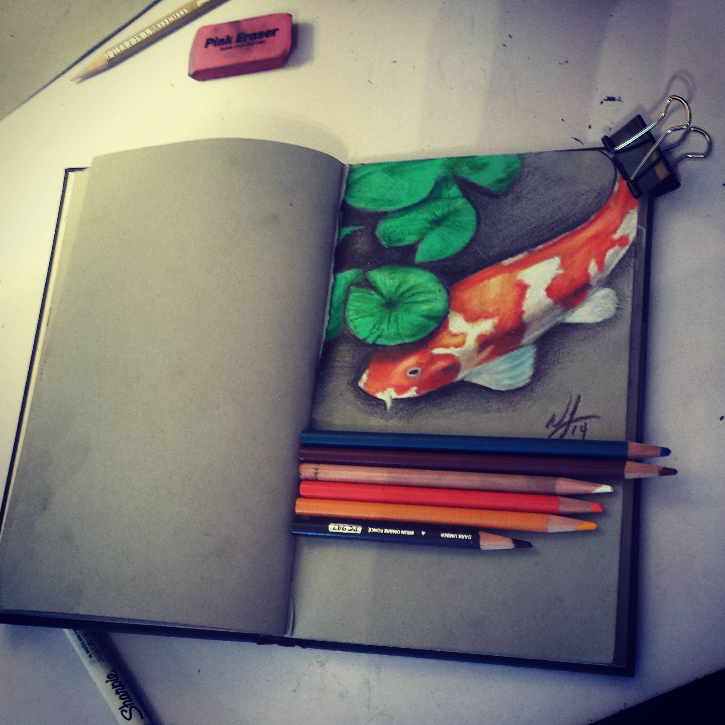 IDAP of a Koi fish | Scrolller