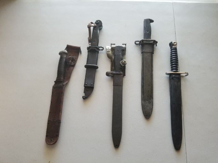 Identification help | Scrolller