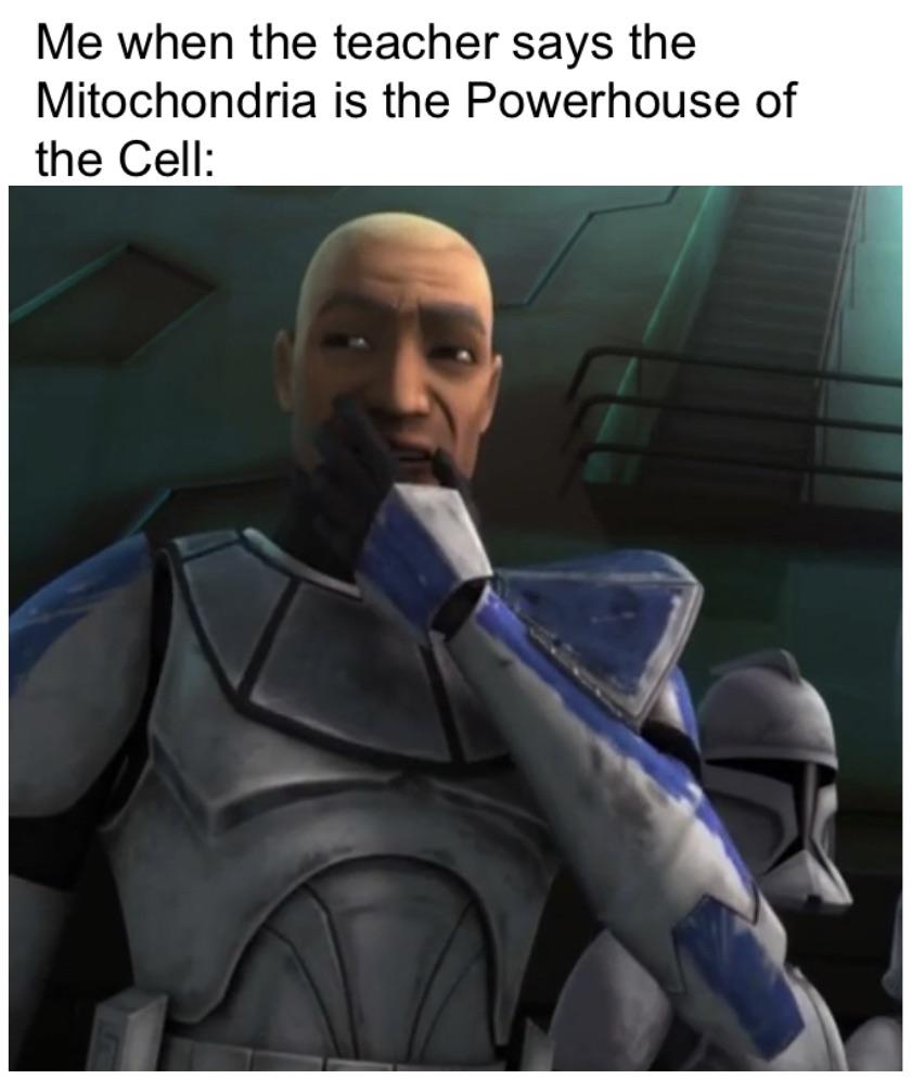 If you know, you know | Scrolller