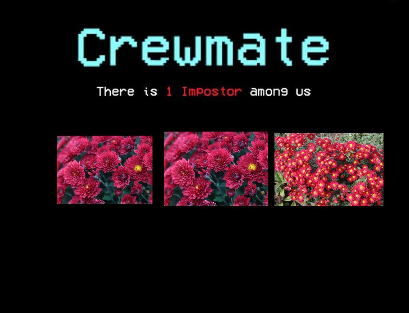 ik🌺ihe | Scrolller