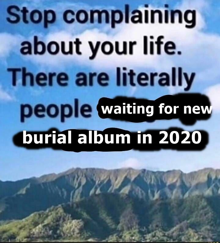 i'll post memes until the album gets unironically released | Scrolller