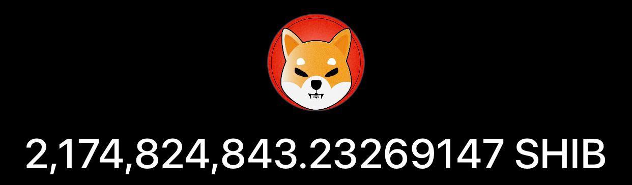 IM A SHIBA BILLIONAIRE 🌸🚀 | Scrolller