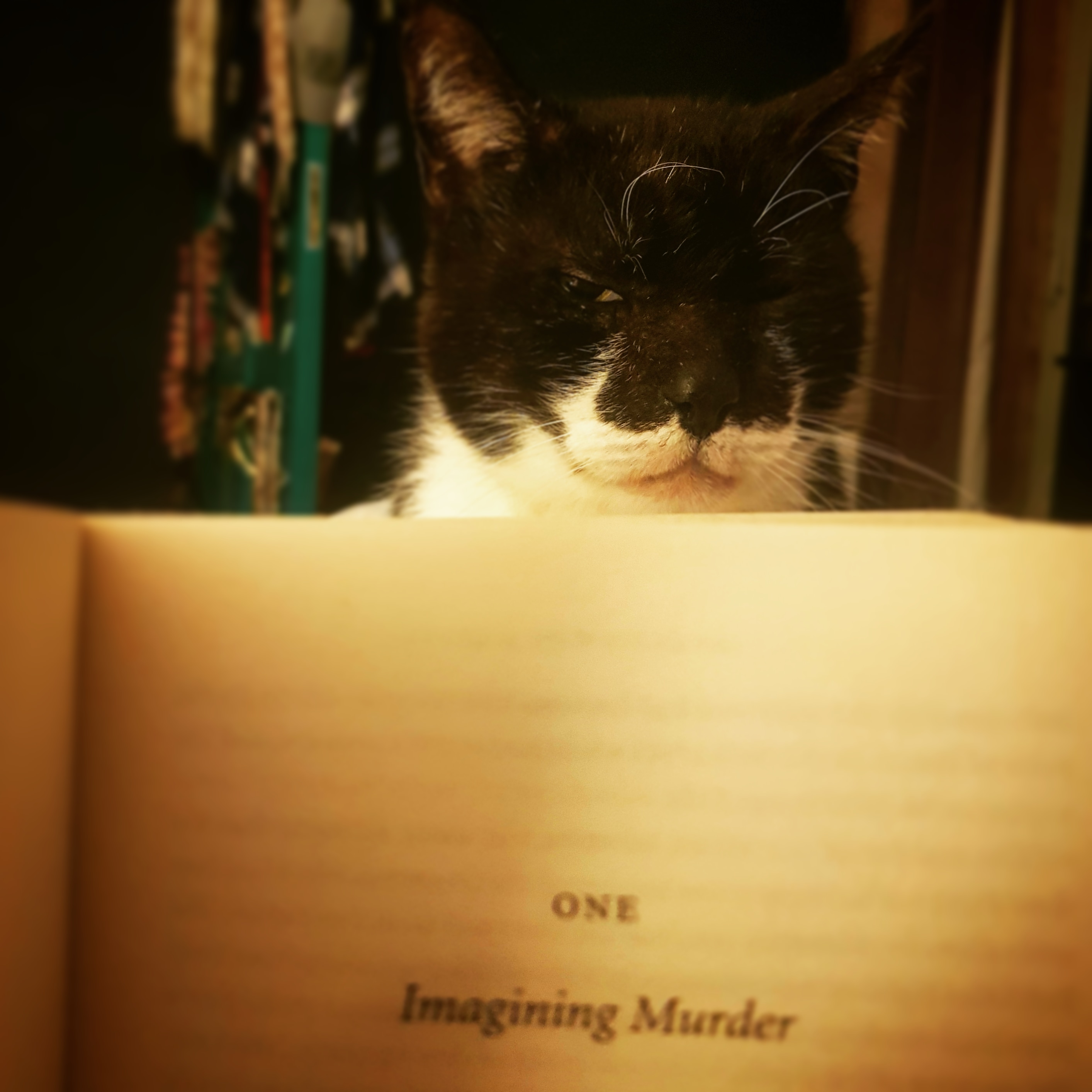 I'm doomed | Scrolller