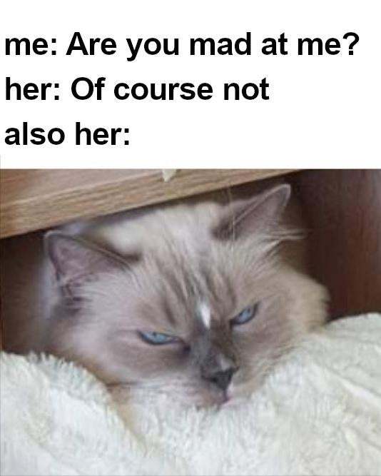 I'm scared | Scrolller