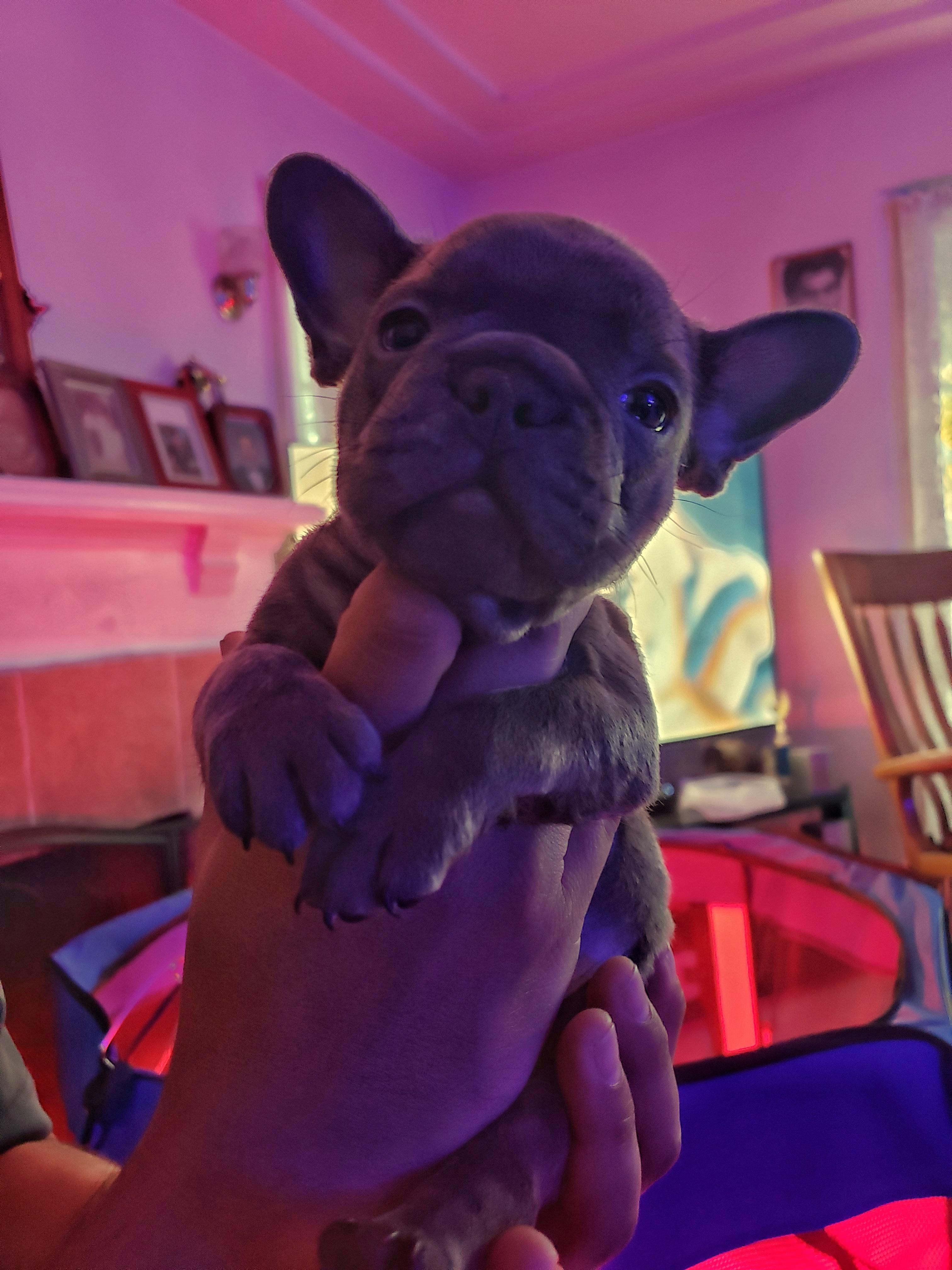 I'm smoL... | Scrolller