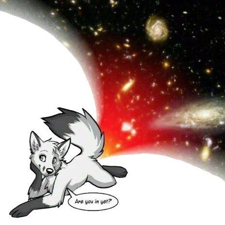 I'm sorry... | Scrolller