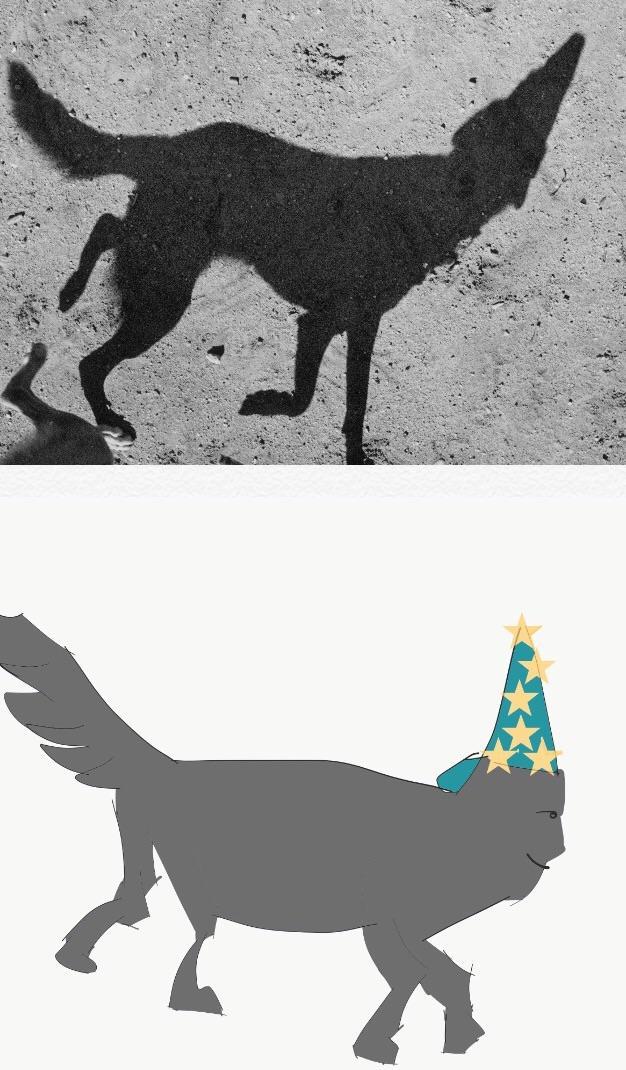 I'm sorry | Scrolller