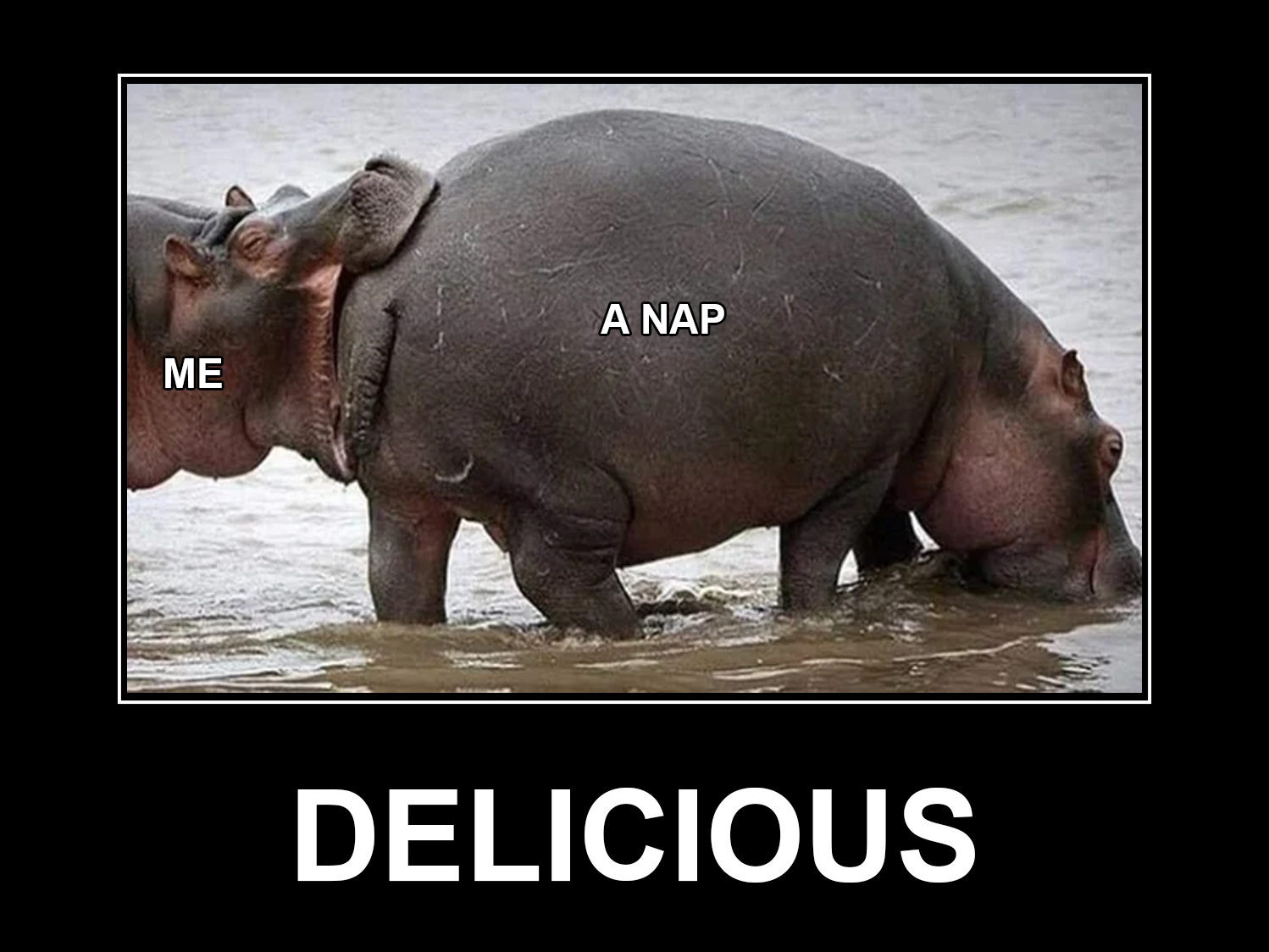 I'm sorry Mori. | Scrolller