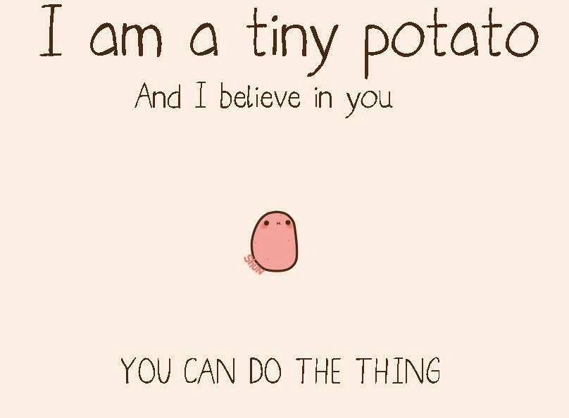 [Image] Tiny Motivational Potato | Scrolller