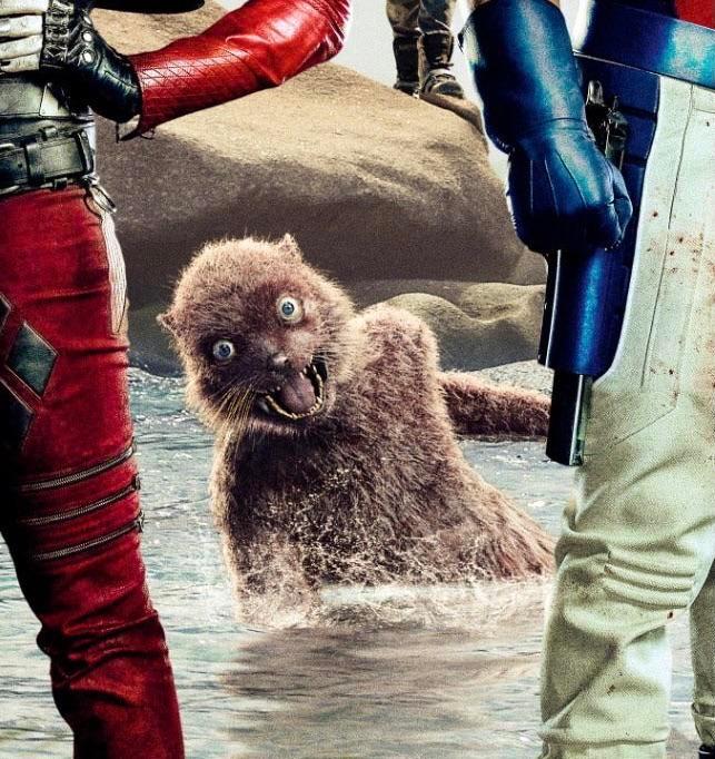 IMAGE: Weasel drowning in the new magazine cover | Scrolller