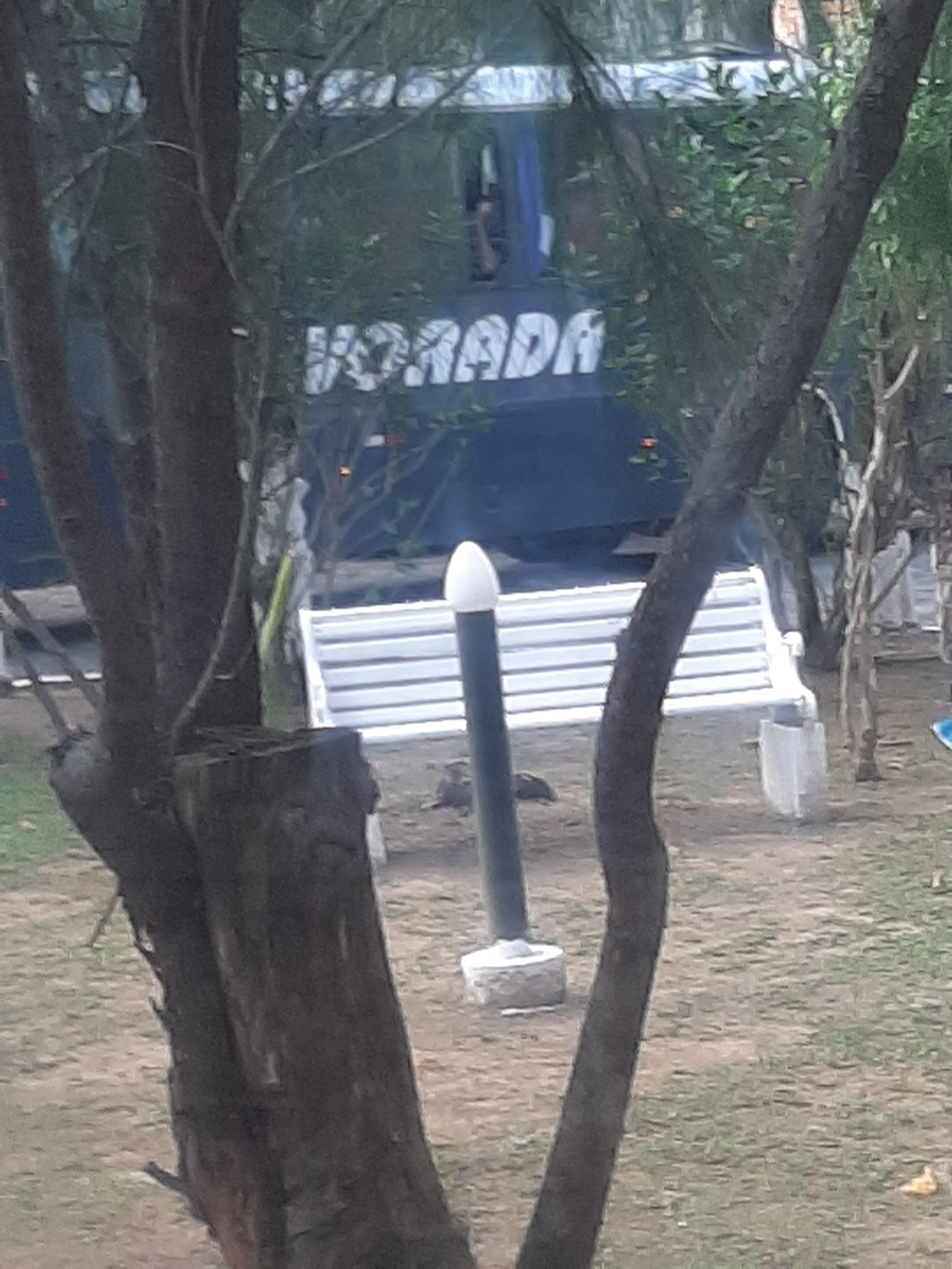 Imagine "using" that lamp while it's turned on | Scrolller