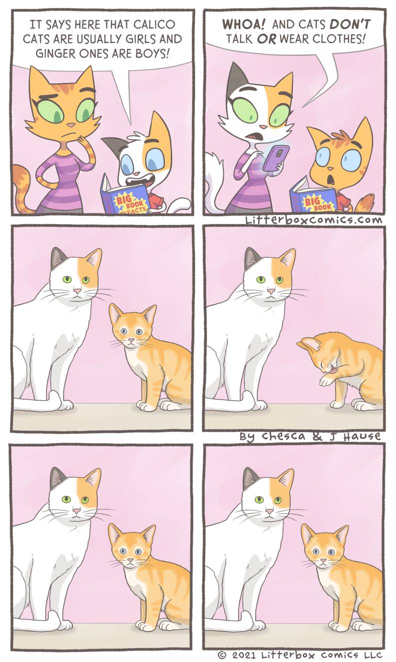 Important Announcement! [OC] | Scrolller