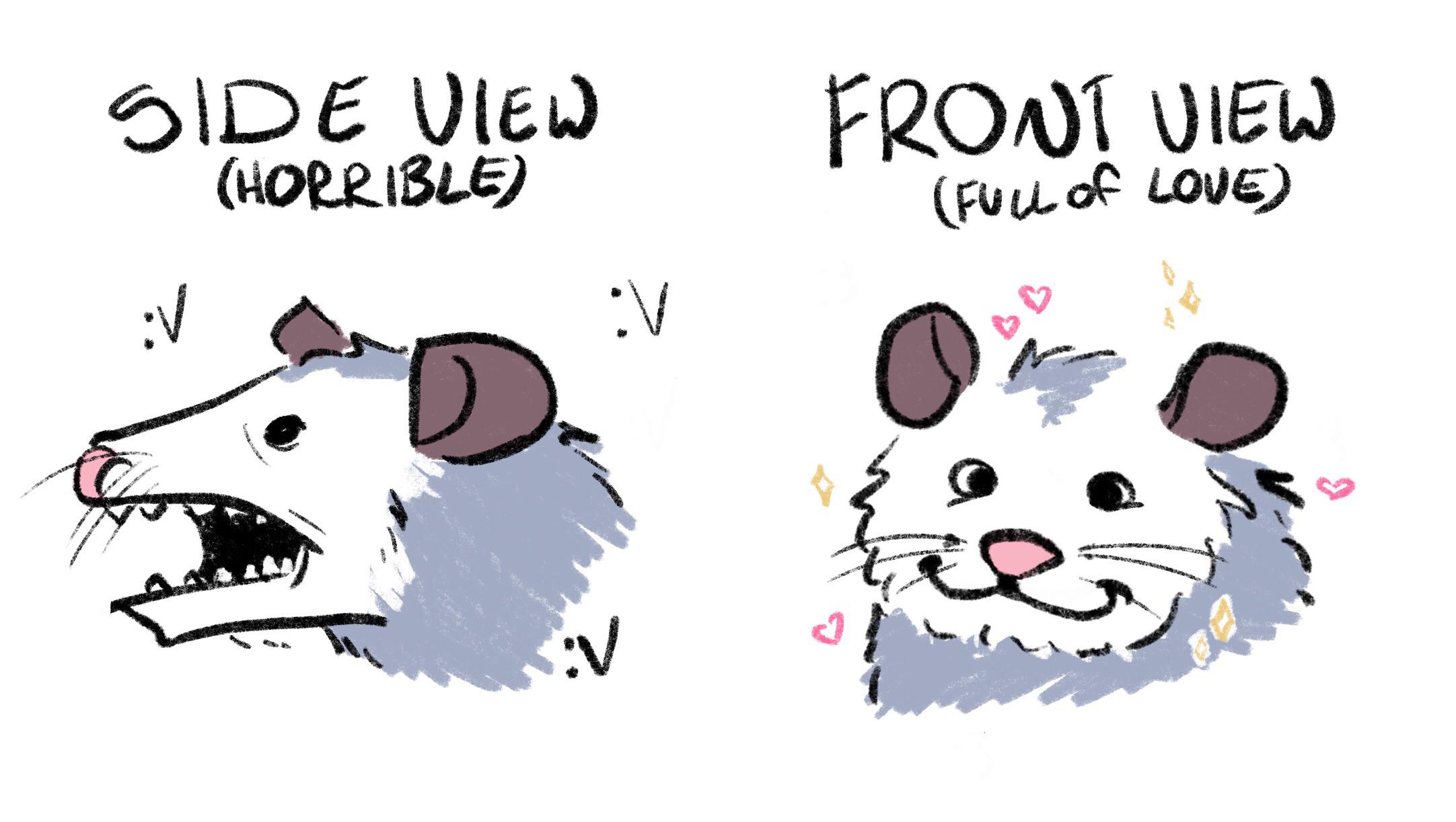 Important observations (OC) | Scrolller