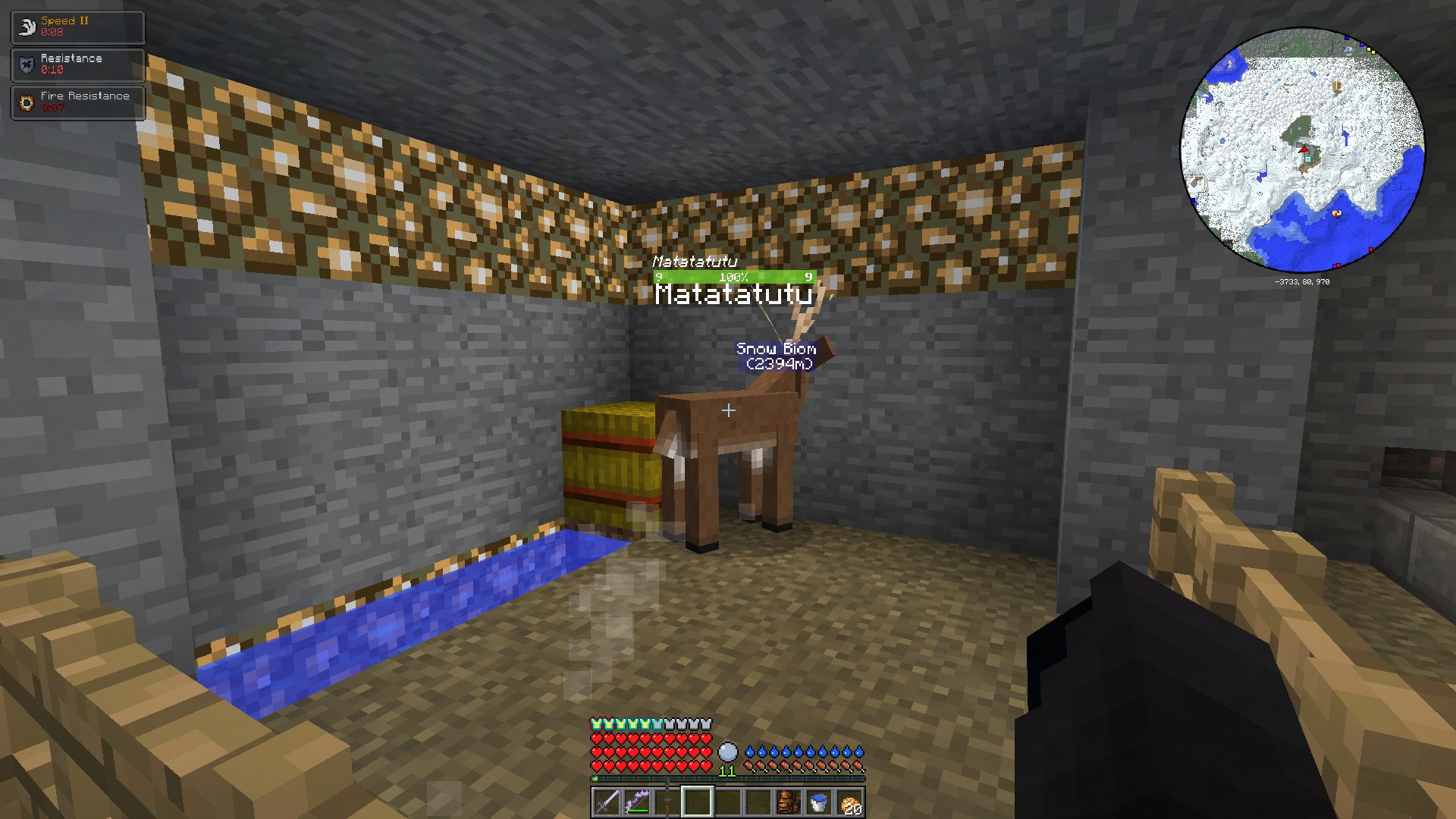 In loving memory | Scrolller