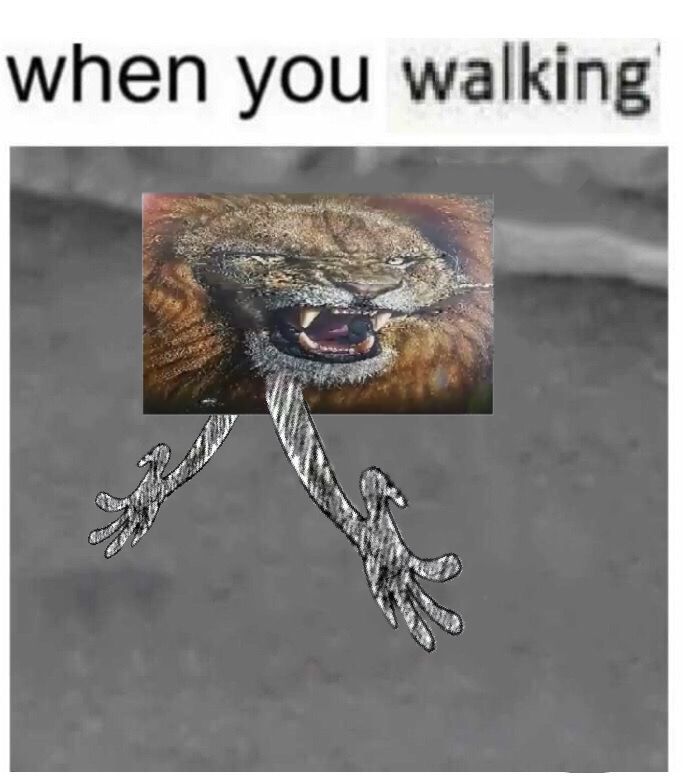 In the words of CallmeCarson: “I made this” | Scrolller