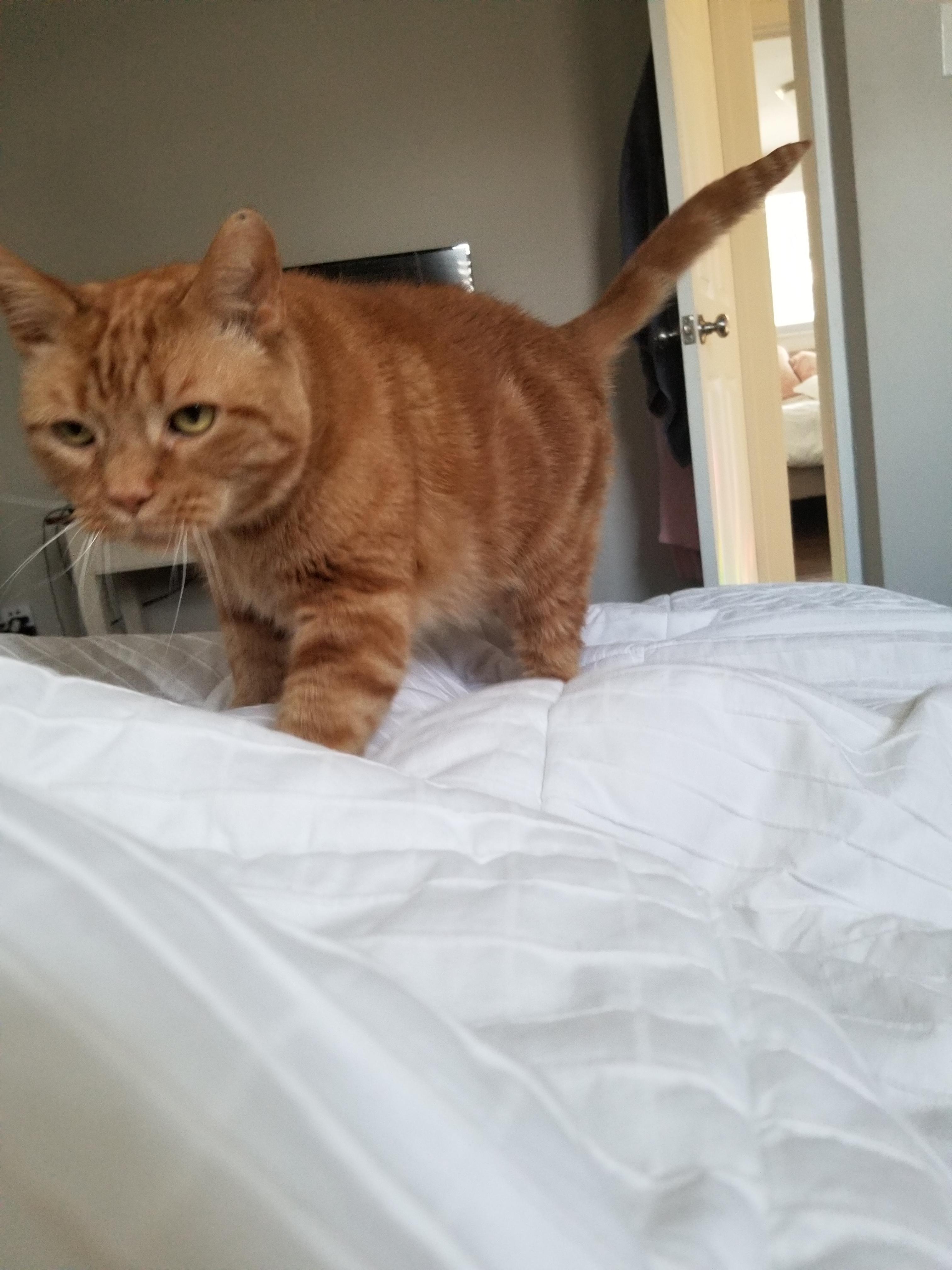 Incoming! | Scrolller