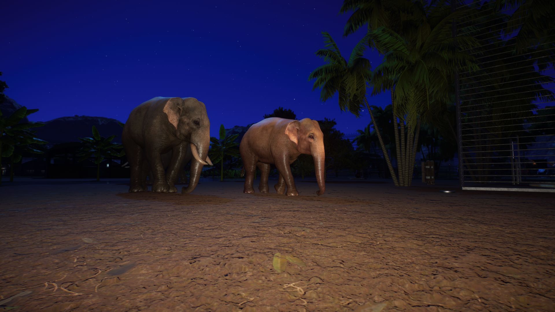 Indian Elephant couple | Scrolller