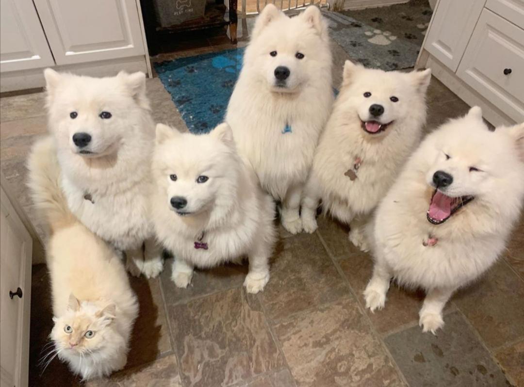 Infiltration a success, they don't suspect a thing. | Scrolller