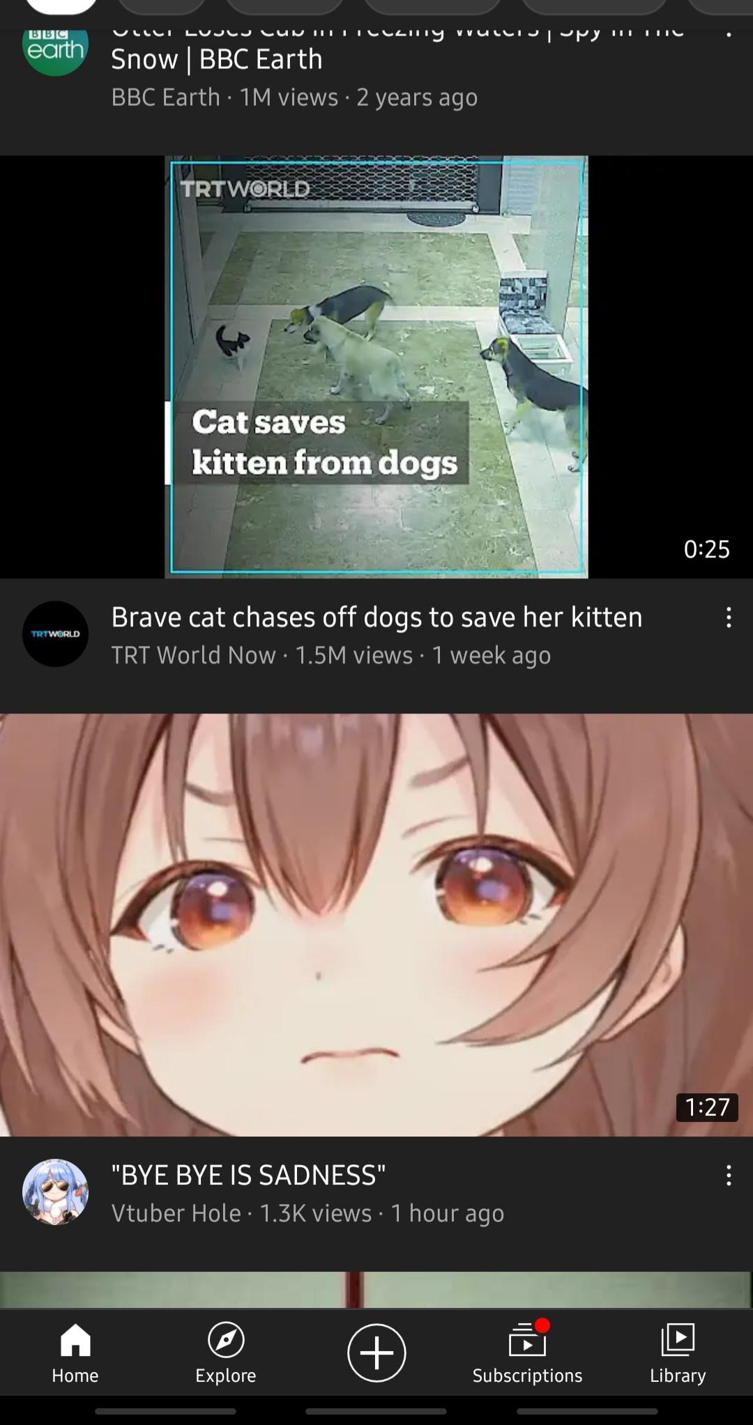 Insert a Title about this | Scrolller