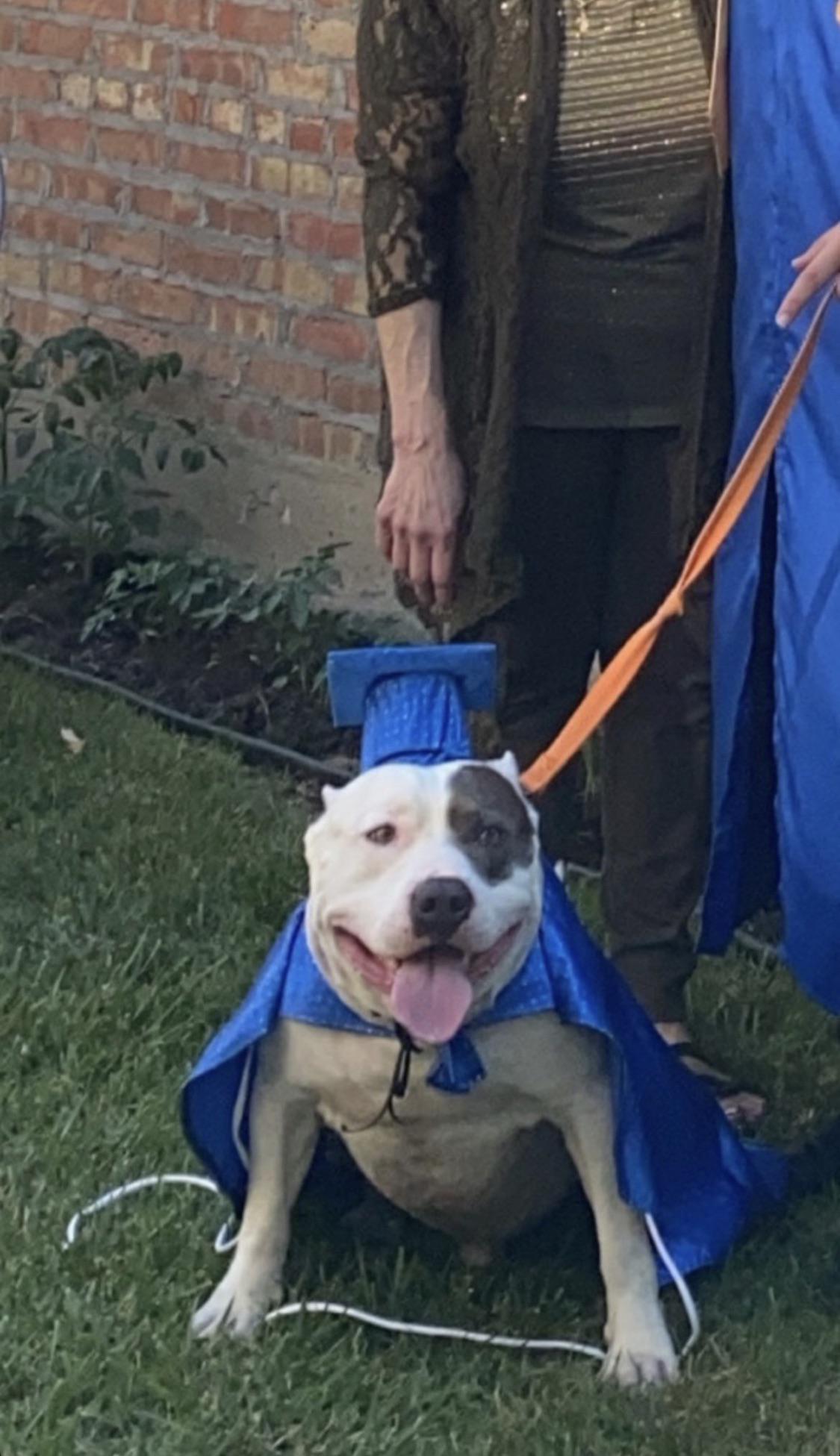 *insert caption here* | Scrolller