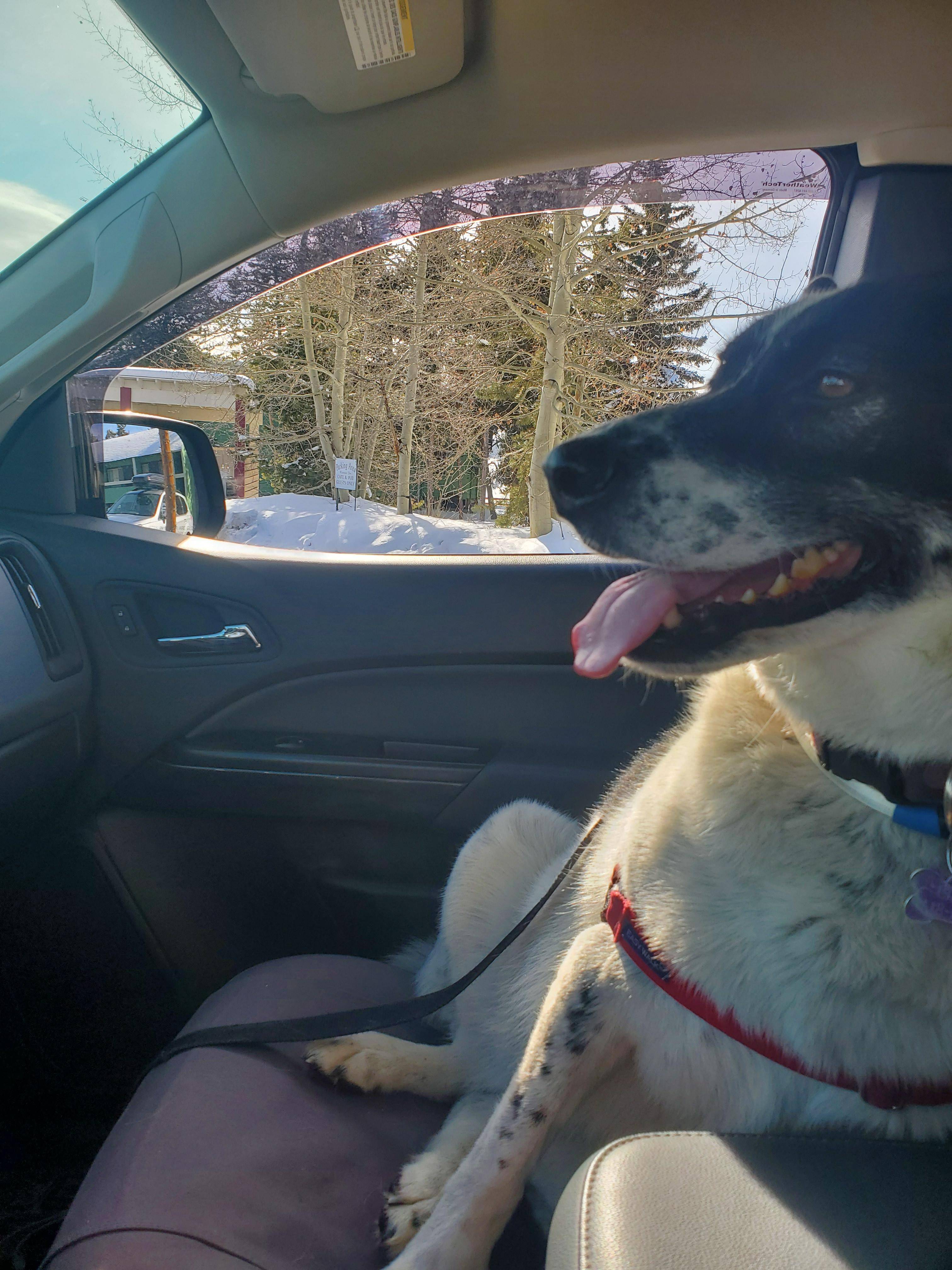 Installed new passenger side woofer | Scrolller