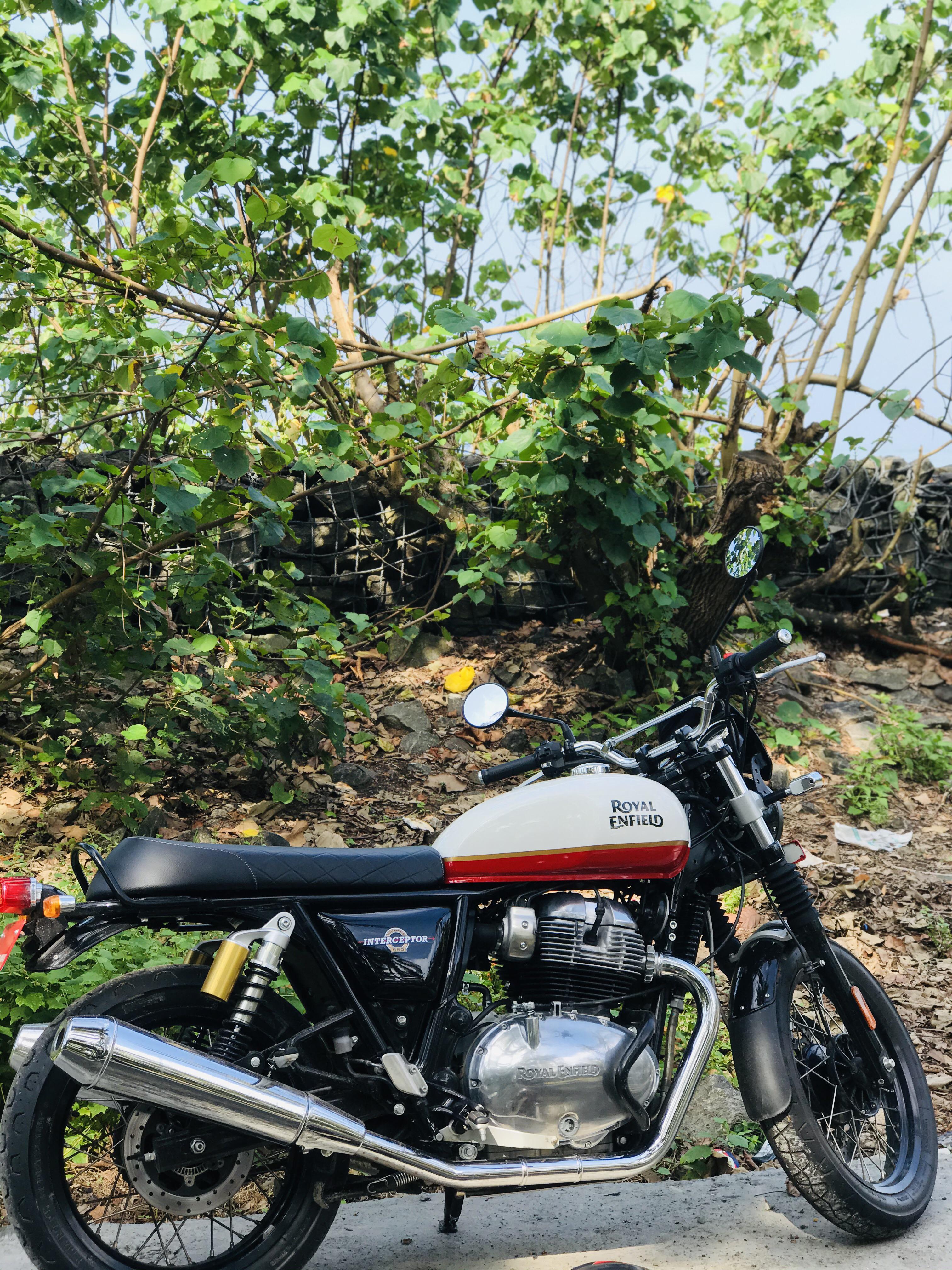 Interceptor 650 | Scrolller