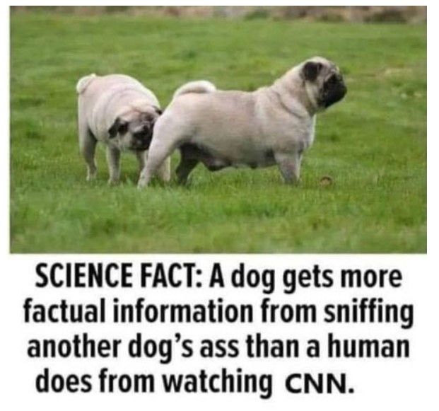 Interesting fact | Scrolller