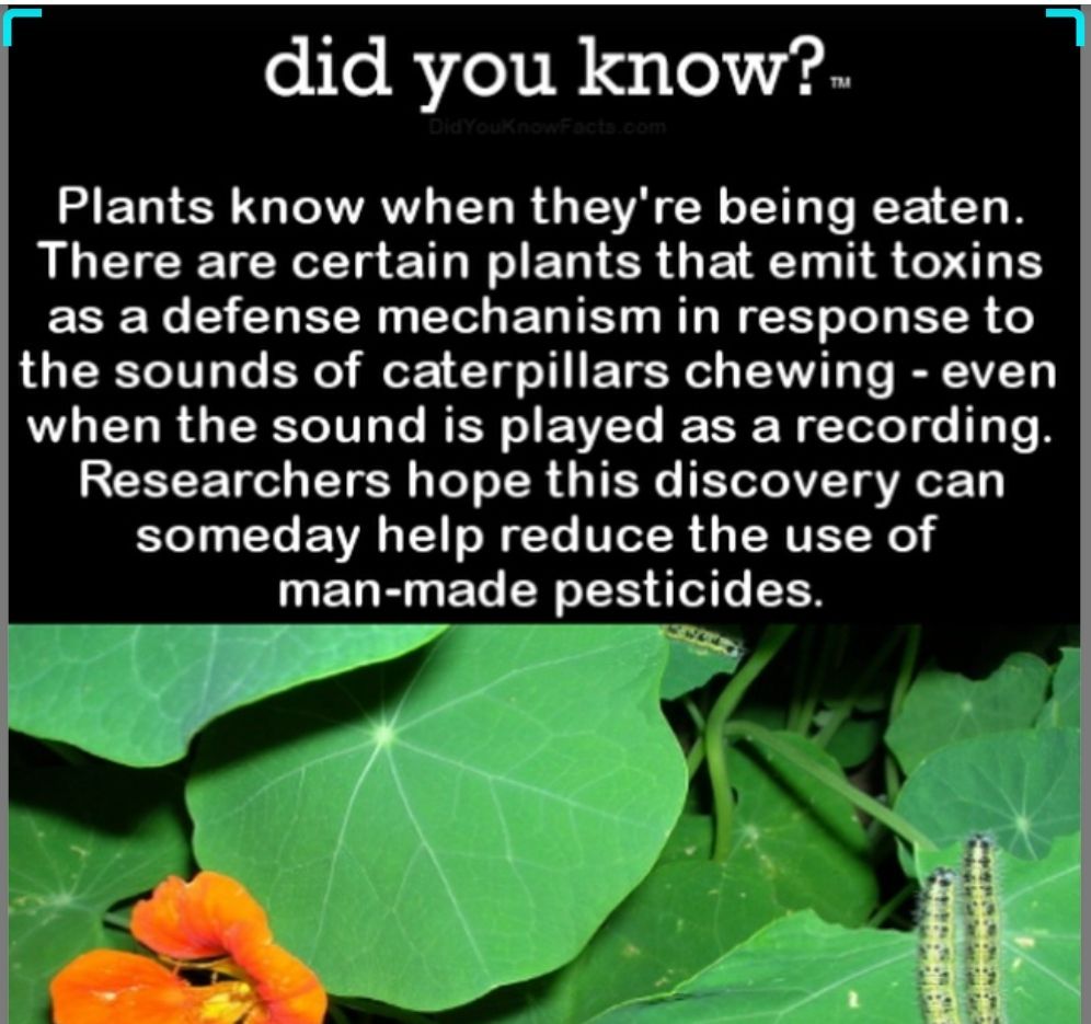 Interesting fact about plants | Scrolller