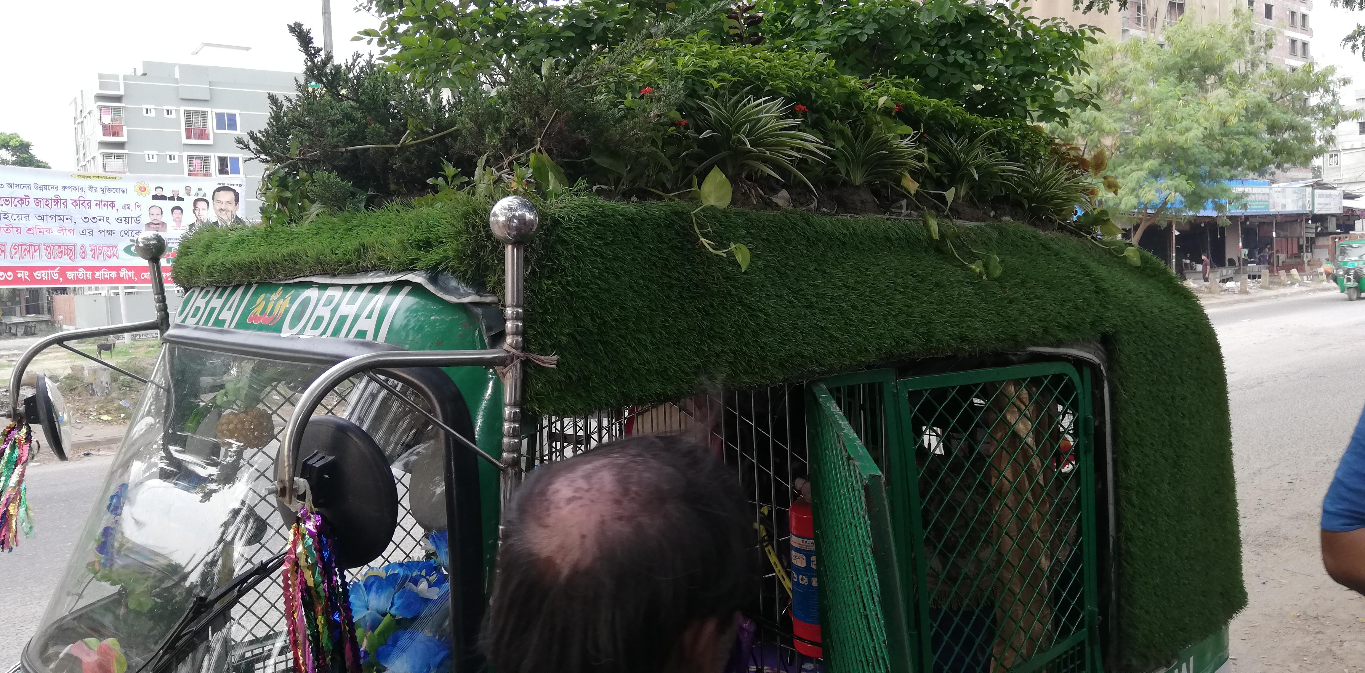 Interesting, tree plantation over CNG car | Scrolller