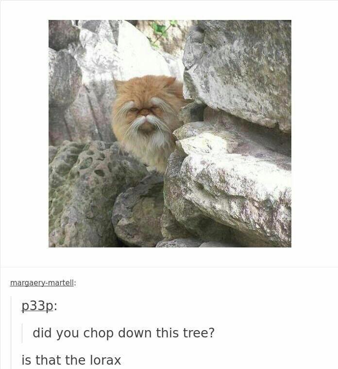 is that the lorax? | Scrolller