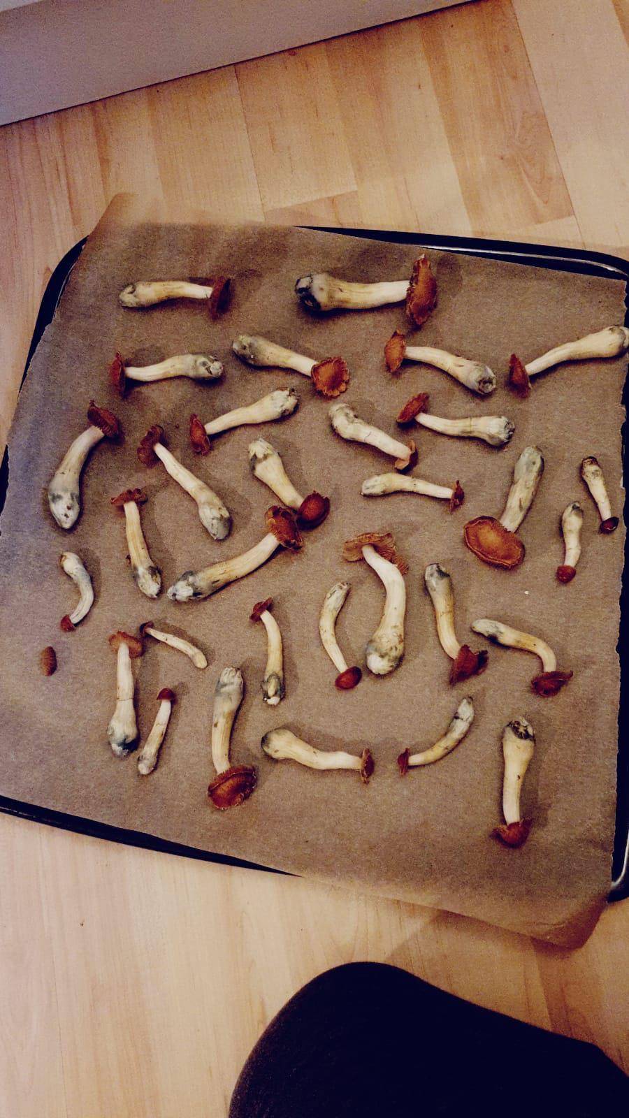 Is the black stuff mold? | Scrolller