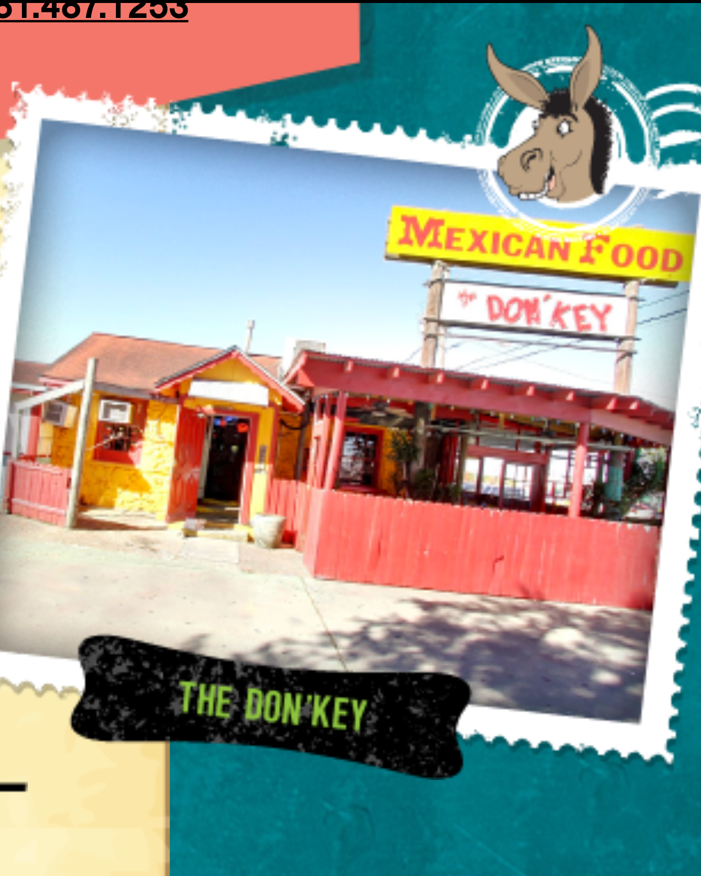 Is this a donkey? | Scrolller