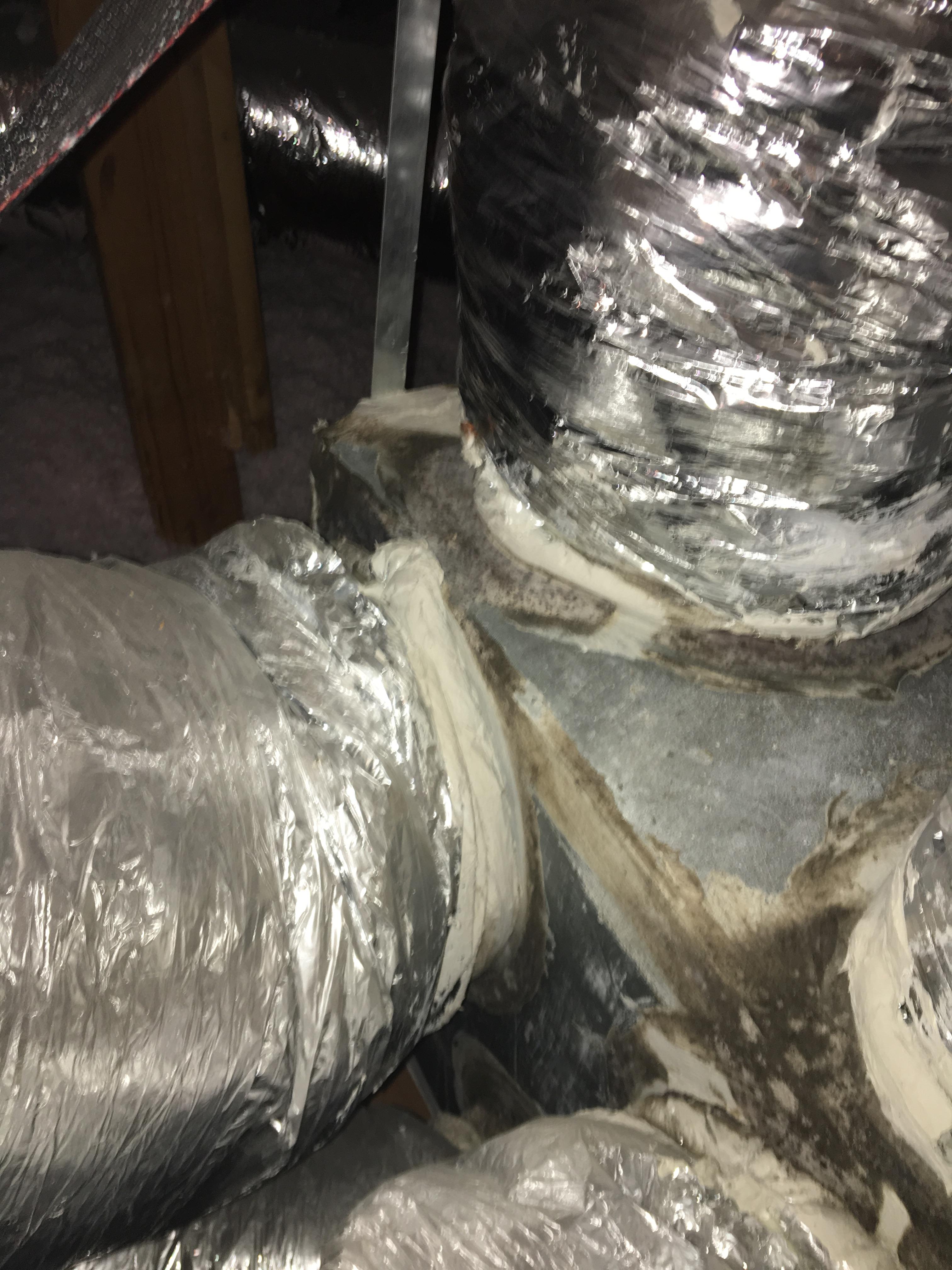 Is this black mold? | Scrolller