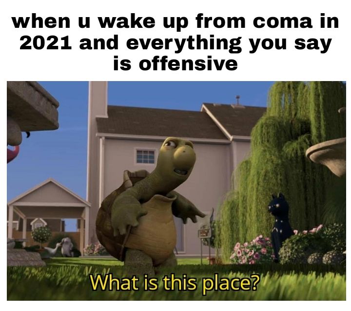 Is this meme offensive too? | Scrolller