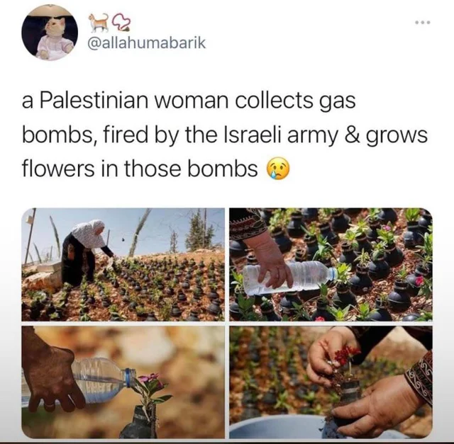 Islamic unity when? | Scrolller