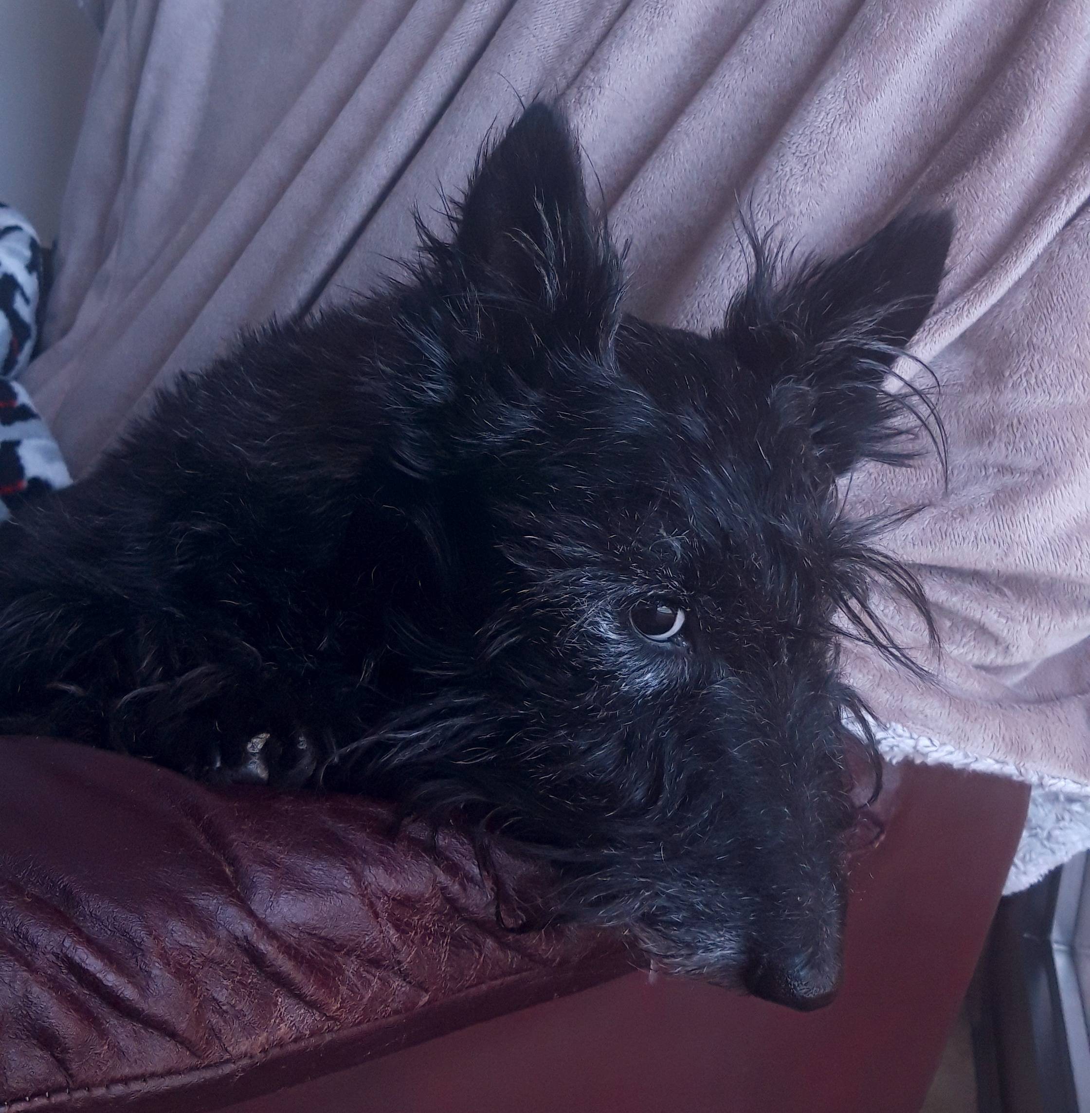 Islay is the master of side eye... | Scrolller