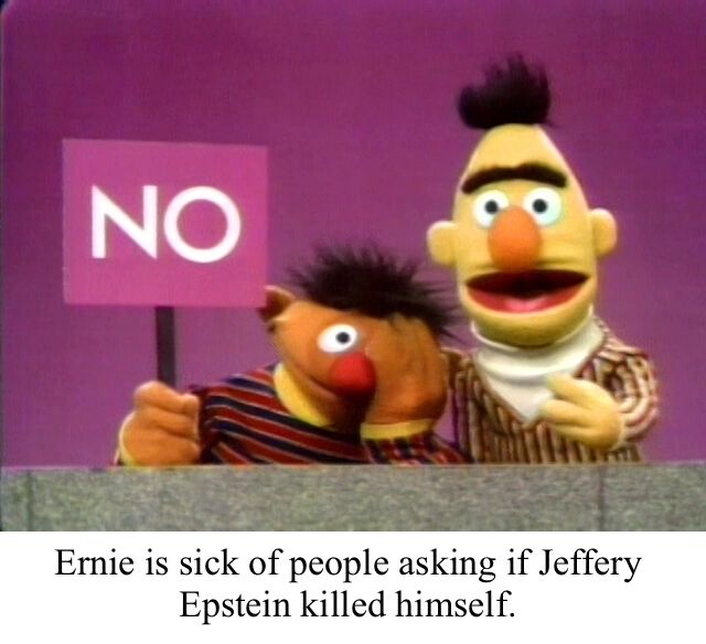 "Isn't it obvious, Bert?" | Scrolller