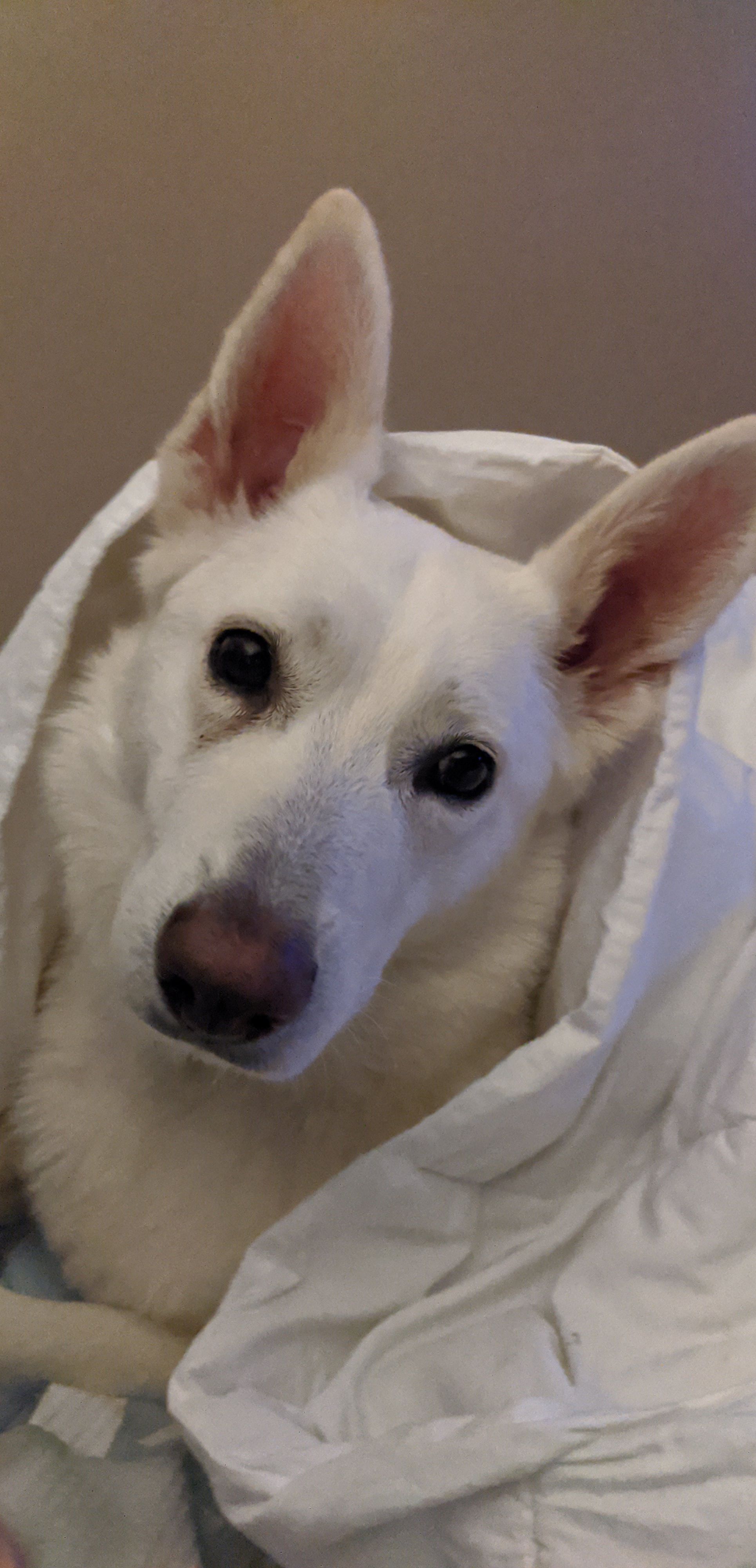 Isolation got me like | Scrolller