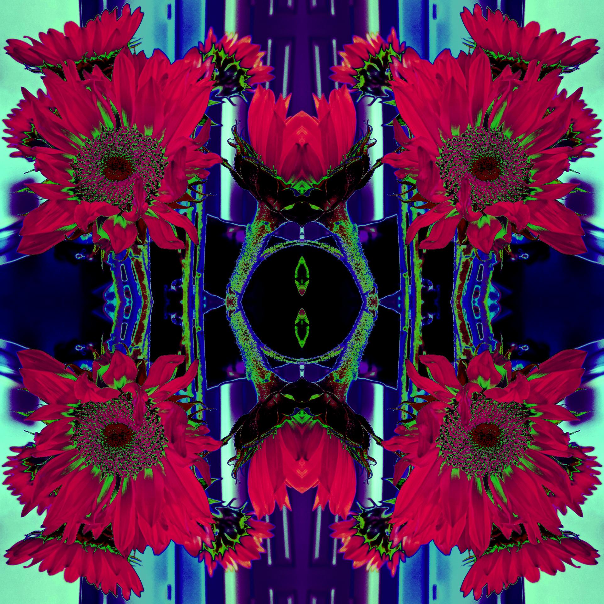 It Ain't All Flowers | Scrolller